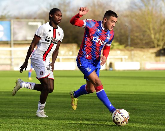 Danny Imray Crystal Palace During Premier Editorial Stock Photo - Stock ...