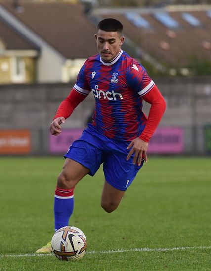 Danny Imray Crystal Palace During Premier Editorial Stock Photo - Stock ...