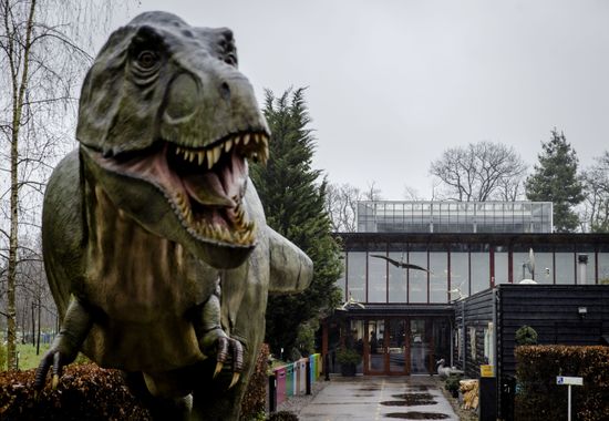 Boxtel Exterior Prehistoric Museum Museum Had Editorial Stock Photo ...