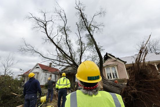 Crews Work Remove Downed Trees Following Editorial Stock Photo - Stock ... Crews Work Remove Downed Trees Following Editorial Stock Photo - Stock ...