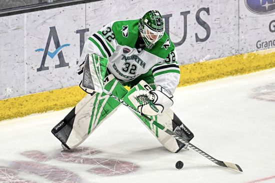 North Dakota Fighting Hawks Goaltender Jakob Editorial Stock Photo - Stock Image | Shutterstock