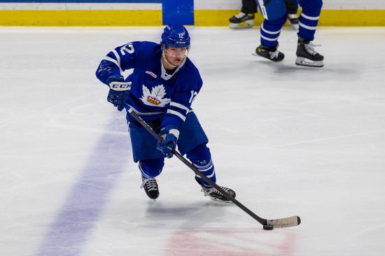 Toronto Marlies Forward Matt Hellickson 12 Editorial Stock Photo ...