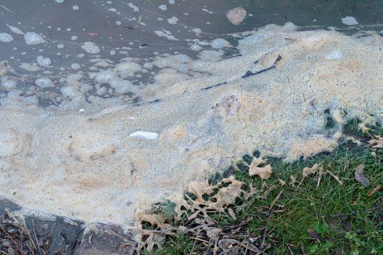 Disgusting Sight Raw Sewage On River Editorial Stock Photo - Stock ...