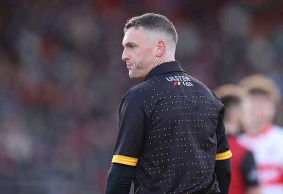 Down Vs Derry Referee Niall Mckenna Editorial Stock Photo - Stock Image ...