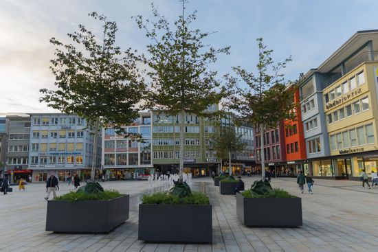 Buckets Trees On Market Square Shops Editorial Stock Photo - Stock ...
