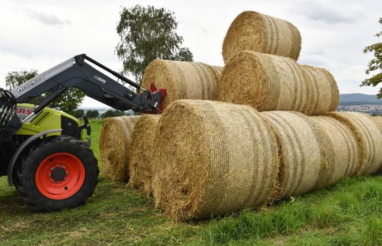 Tractor Bale Fork Stacking Round Bales Editorial Stock Photo - Stock ...