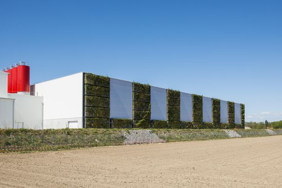 Greened Factory Facade Facade Greening Niederrimsingen Editorial Stock ...