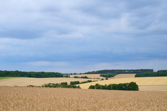 Landscape Spelled Grainfield Summer Wuerzburg Franconia Editorial Stock ...