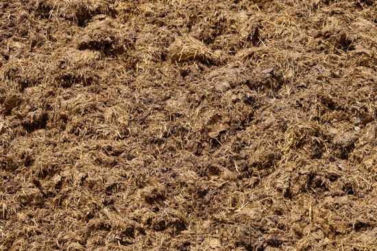 Muck Heap Editorial Stock Photo - Stock Image | Shutterstock