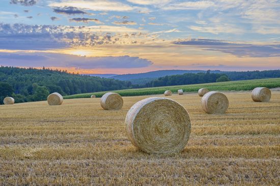 Landscape Hay Field Straw Bales Sunset Editorial Stock Photo - Stock ...