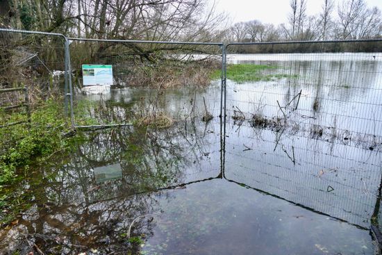 Tumbling Bay Nature Reserve Under Flood Editorial Stock Photo - Stock ...