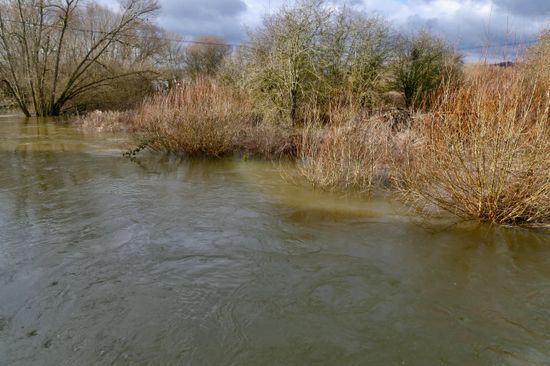 Tumbling Bay Nature Reserve Under Flood Editorial Stock Photo - Stock ...