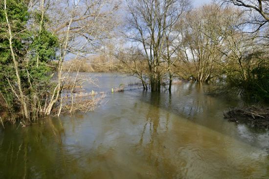 Tumbling Bay Nature Reserve Under Flood Editorial Stock Photo - Stock ...