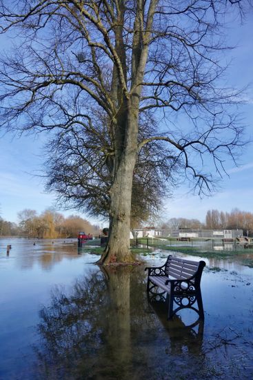 River Levels Rise Along River Thames Editorial Stock Photo - Stock ...