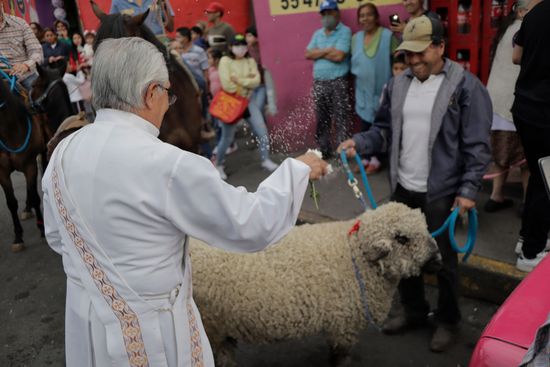 Priest Blesses Sheep Other Animals Outside Editorial Stock Photo ...
