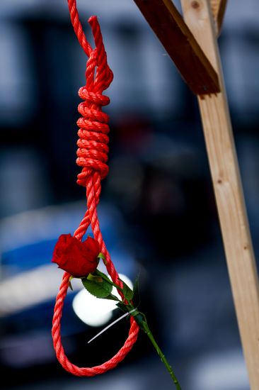 Hanging Rope Rose Stand Near Iranian Editorial Stock Photo - Stock ...