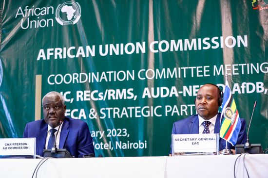 Chairperson African Union Au Commission Moussa Editorial Stock Photo ...