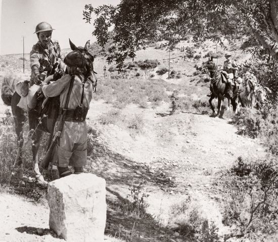 1943 Syria Transjordan Transjordanian Frontier Force Editorial Stock ...