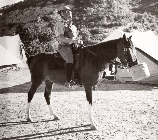 1943 Syria Transjordan Transjordanian Frontier Force Editorial Stock ...