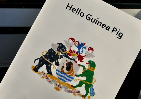 Hello Guinea Pig Leaflet Delivered Oxford Editorial Stock Photo - Stock ...
