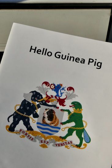 Hello Guinea Pig Leaflet Delivered Oxford Editorial Stock Photo - Stock ...