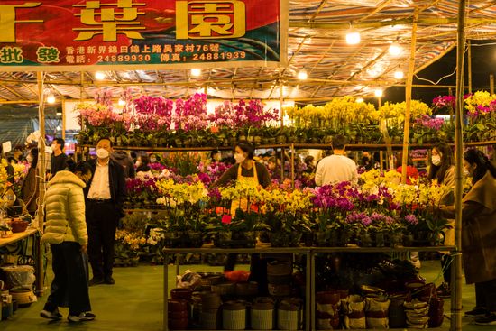 Flower Stand Victoria Park Hong Kong Editorial Stock Photo - Stock ...