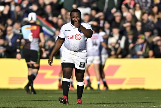 Ox Sharks During Harlequins V Cell Editorial Stock Photo - Stock Image ...