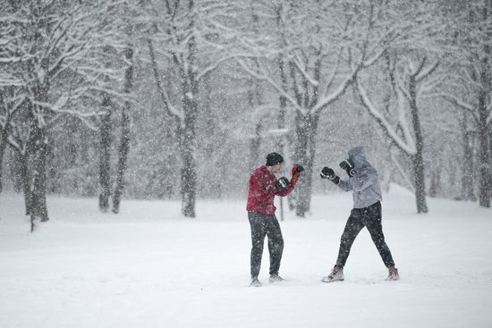 Men Practice Boxing Snow Covered Westpark Editorial Stock Photo - Stock ...