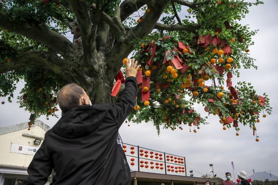 Man Throwing Wish Lam Tsuen Wishing Editorial Stock Photo - Stock Image ...