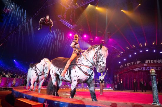 No Tabloids Equestrian Acrobatics Rene Merrylu Editorial Stock Photo ...