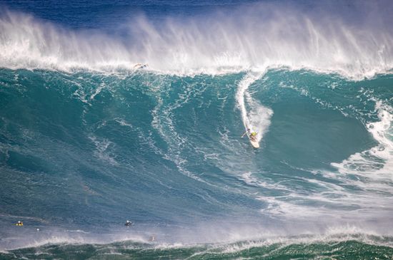 Luke Shepardson Wins 2023 Eddie Aikau Editorial Stock Photo - Stock ...