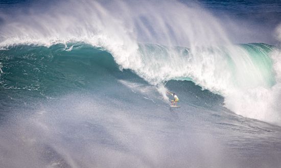 Luke Shepardson Wins 2023 Eddie Aikau Editorial Stock Photo - Stock ...