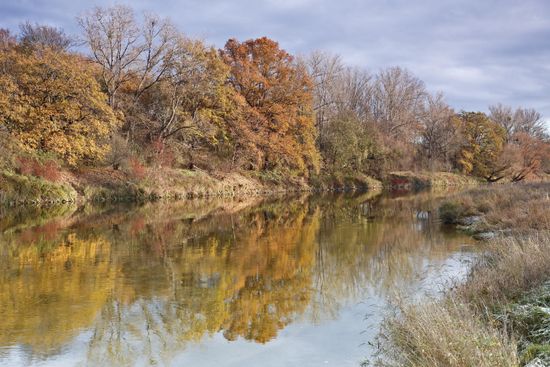 Late Autumn On Mulde River Near Editorial Stock Photo - Stock Image ...