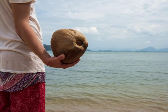 Young Man Holding Coconut On Beach Editorial Stock Photo - Stock Image ...