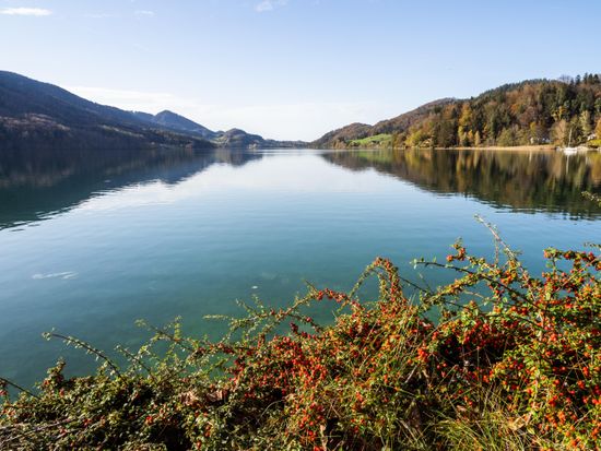 Fuschlsee Autumn Fuschl See Salzkammergut Salzburger Editorial Stock ...