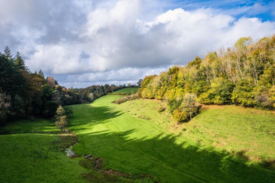 Forests Farms Over Berry Pomeroy Devon Editorial Stock Photo - Stock ...