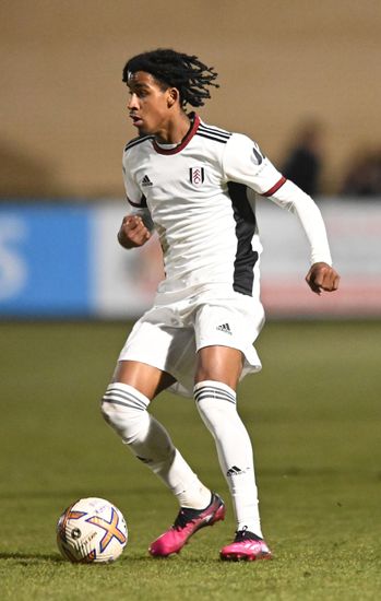 Lemar Gordon Fulham U18s Editorial Stock Photo - Stock Image | Shutterstock