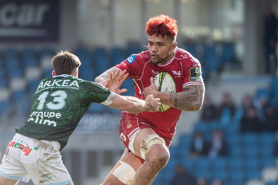 Vaea Fifita 4 Scarlets Rugby Gbwls Editorial Stock Photo - Stock Image ...