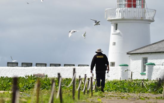National Trust Ranger Walks Path On Editorial Stock Photo - Stock Image ...