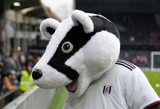 Fulham Mascot Billy Badger Editorial Stock Photo - Stock Image ...