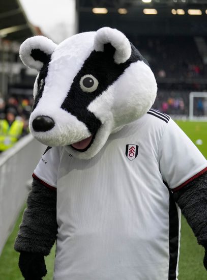 Fulham Mascot Billy Badger Editorial Stock Photo - Stock Image ...