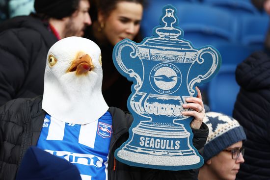 Brighton Fan Seen Seagull Mask Foam Editorial Stock Photo - Stock Image ...