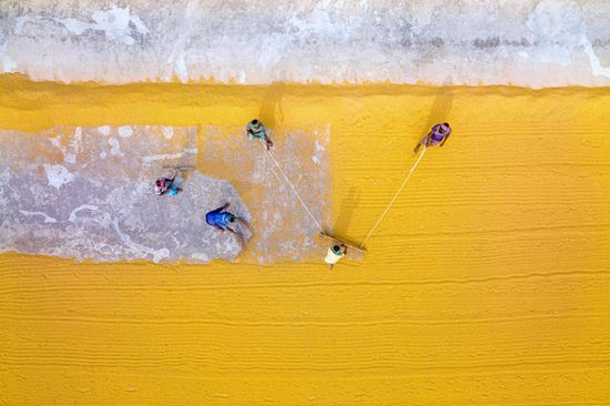 Stunning Scenes Mustard Yellow Captured Sky Editorial Stock Photo ...