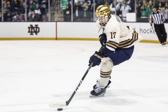 Notre Dame Defenseman Ryan Helliwell 17 Editorial Stock Photo - Stock ...