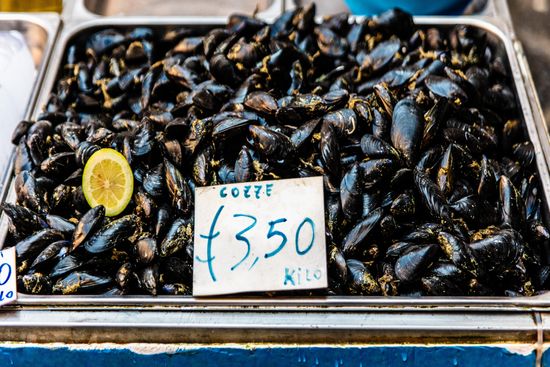 Historic Fish Market La Pescheria Cornucopia Editorial Stock Photo ...