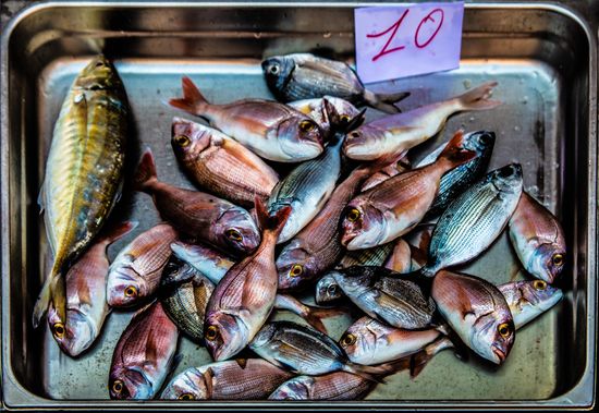 Historic Fish Market La Pescheria Cornucopia Editorial Stock Photo ...
