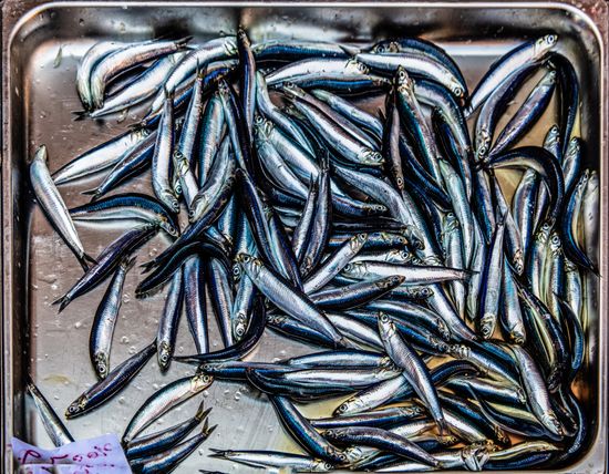 Historic Fish Market La Pescheria Cornucopia Editorial Stock Photo ...
