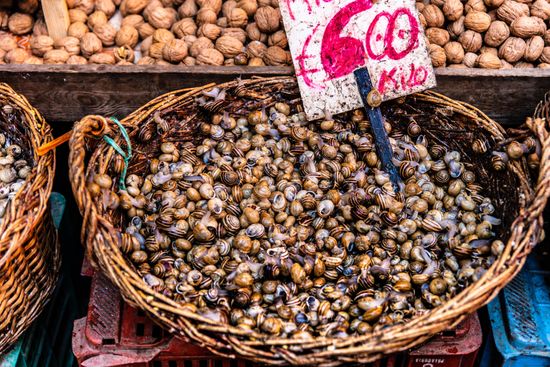 Historic Fish Market La Pescheria Cornucopia Editorial Stock Photo ...