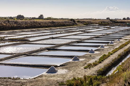 Saltworks Extraction Sea Salt Near Loix Editorial Stock Photo - Stock ...
