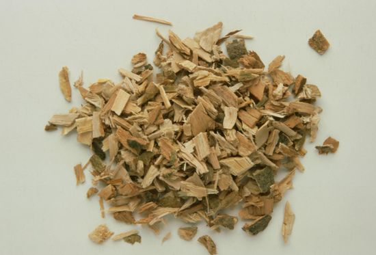 Medicinal Plant Dried Willow Salix Bark Editorial Stock Photo - Stock ...